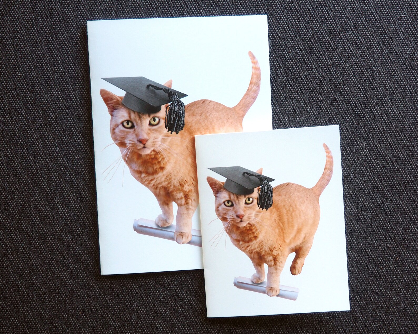 Orange Cat Grad Printable Graduation Card - Etsy