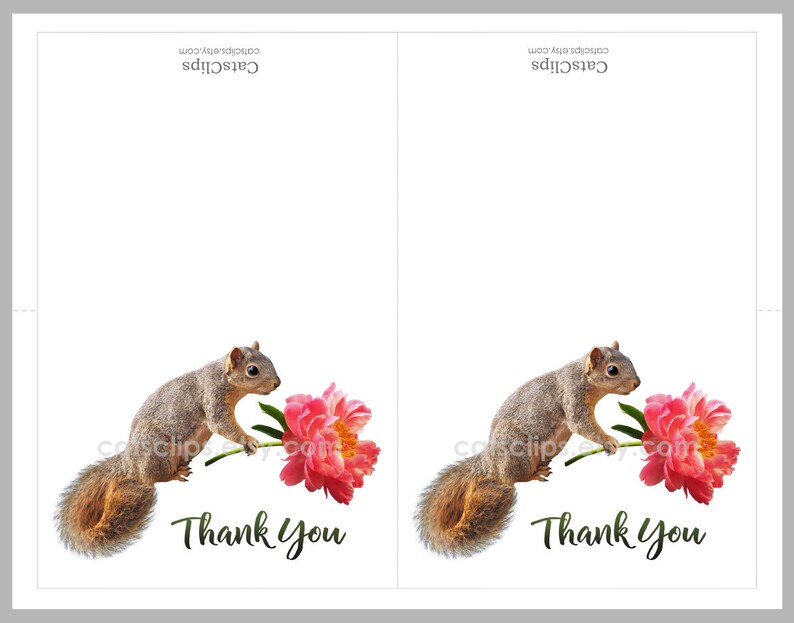 Squirrel With Peony Printable Thank You Card Digital Squirrel - Etsy