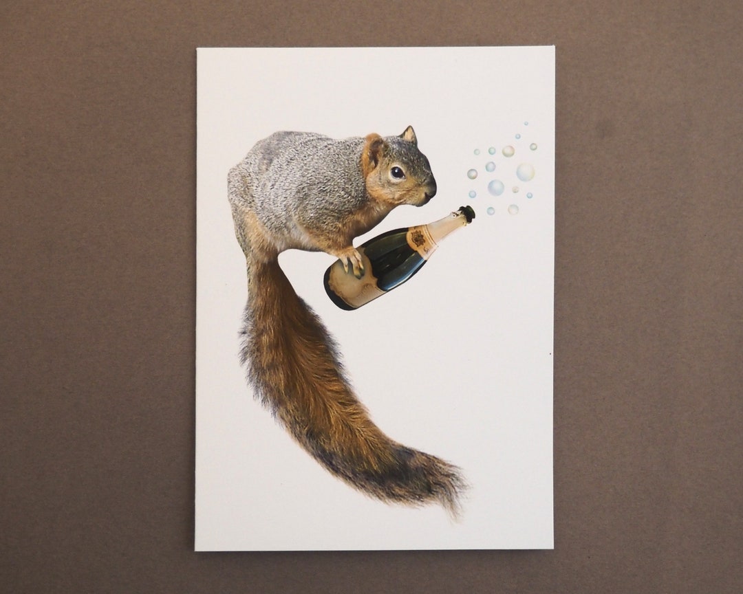 Squirrel With Bubbly Champagne Card, Congratulations or Party Card - Etsy