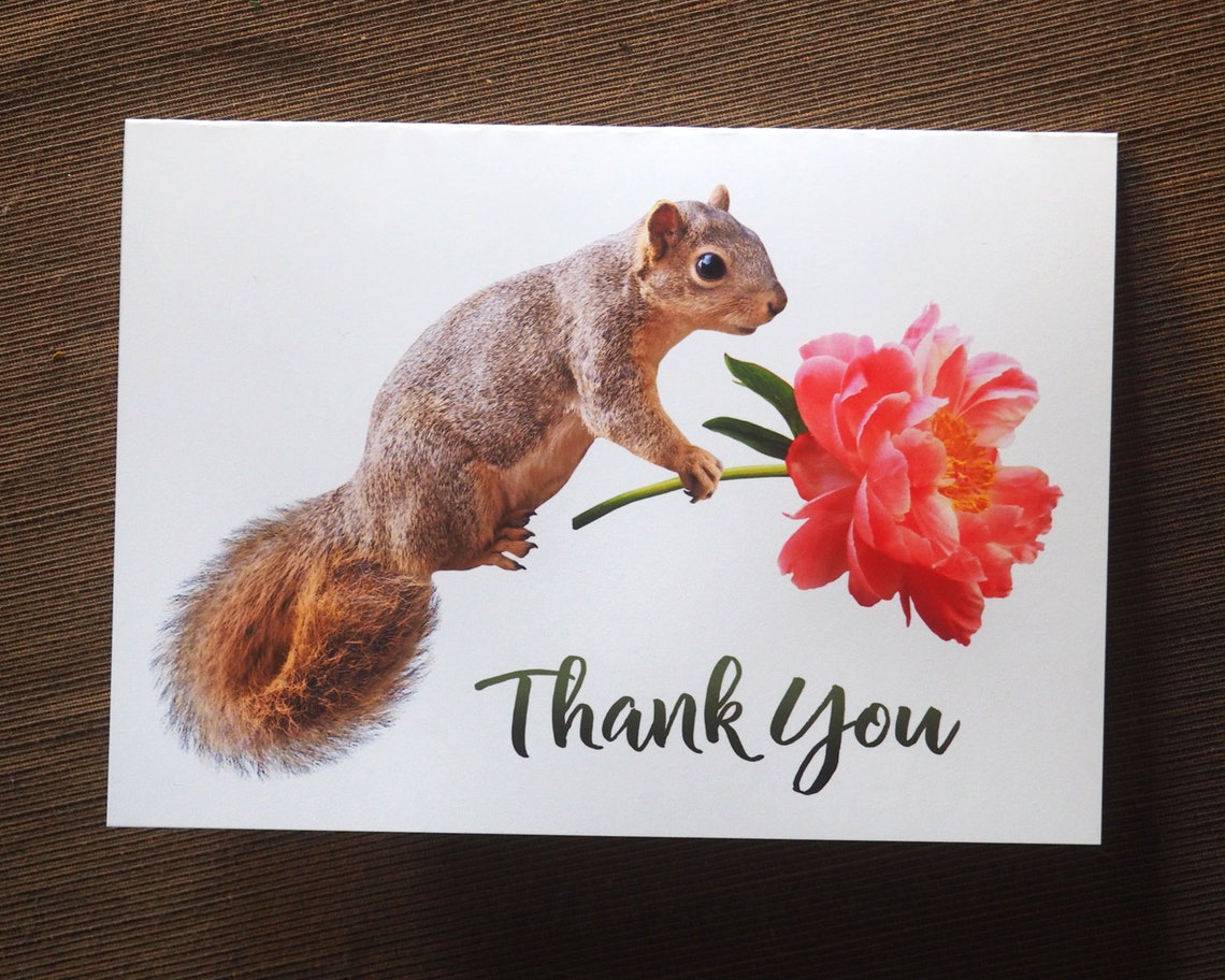 Squirrel With Peony Printable Thank You Card Digital Squirrel - Etsy