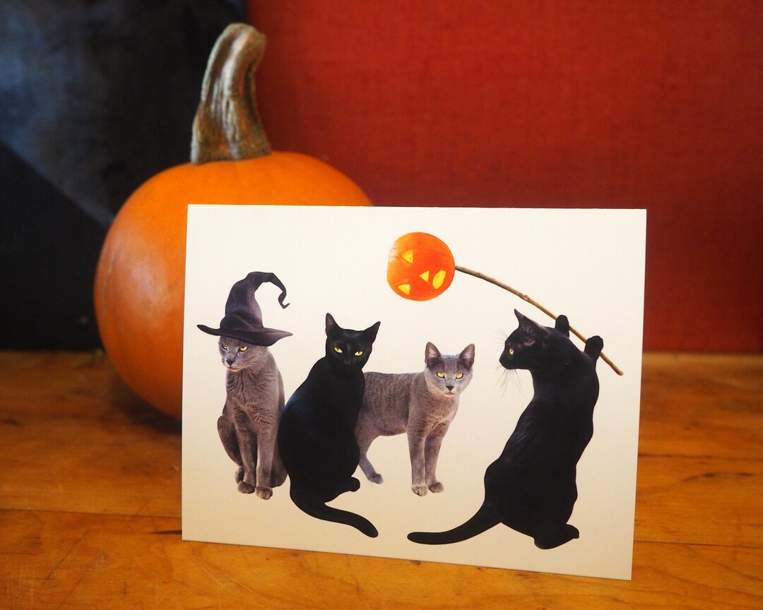 Cat Witches Printable Halloween Card - Etsy