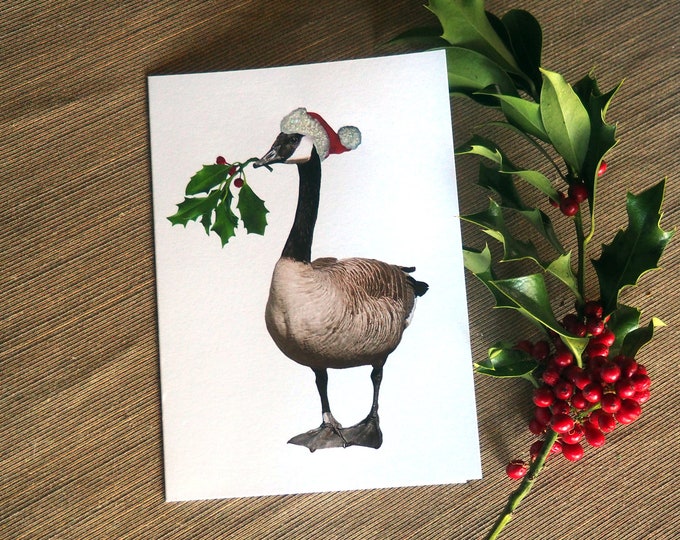 Canadian Goose Christmas Card, Goose Wearing A Santa Hat Red Poinsettia ...