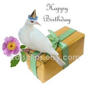Dove Rose Printable Birthday Card, Digital Dove Card - Etsy