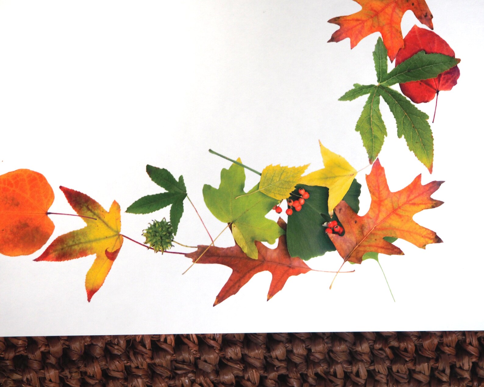 October Leaves Printable Border Fall Digital Border - Etsy