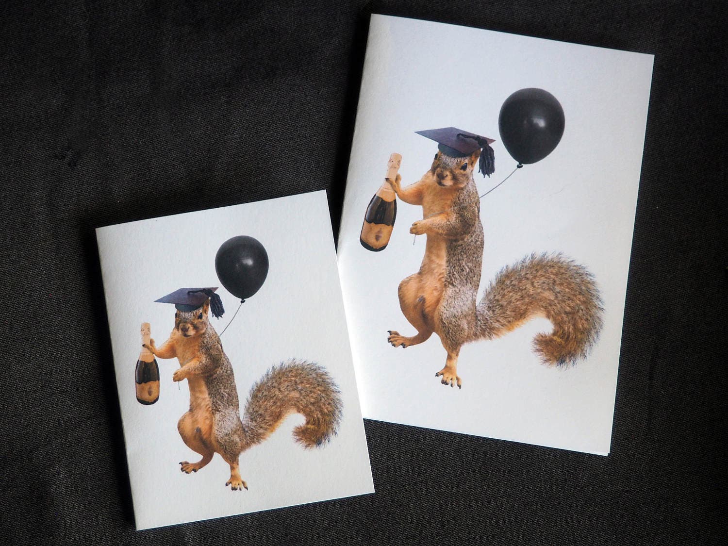 Squirrel With Black Balloon and Champagne Printable Graduation - Etsy