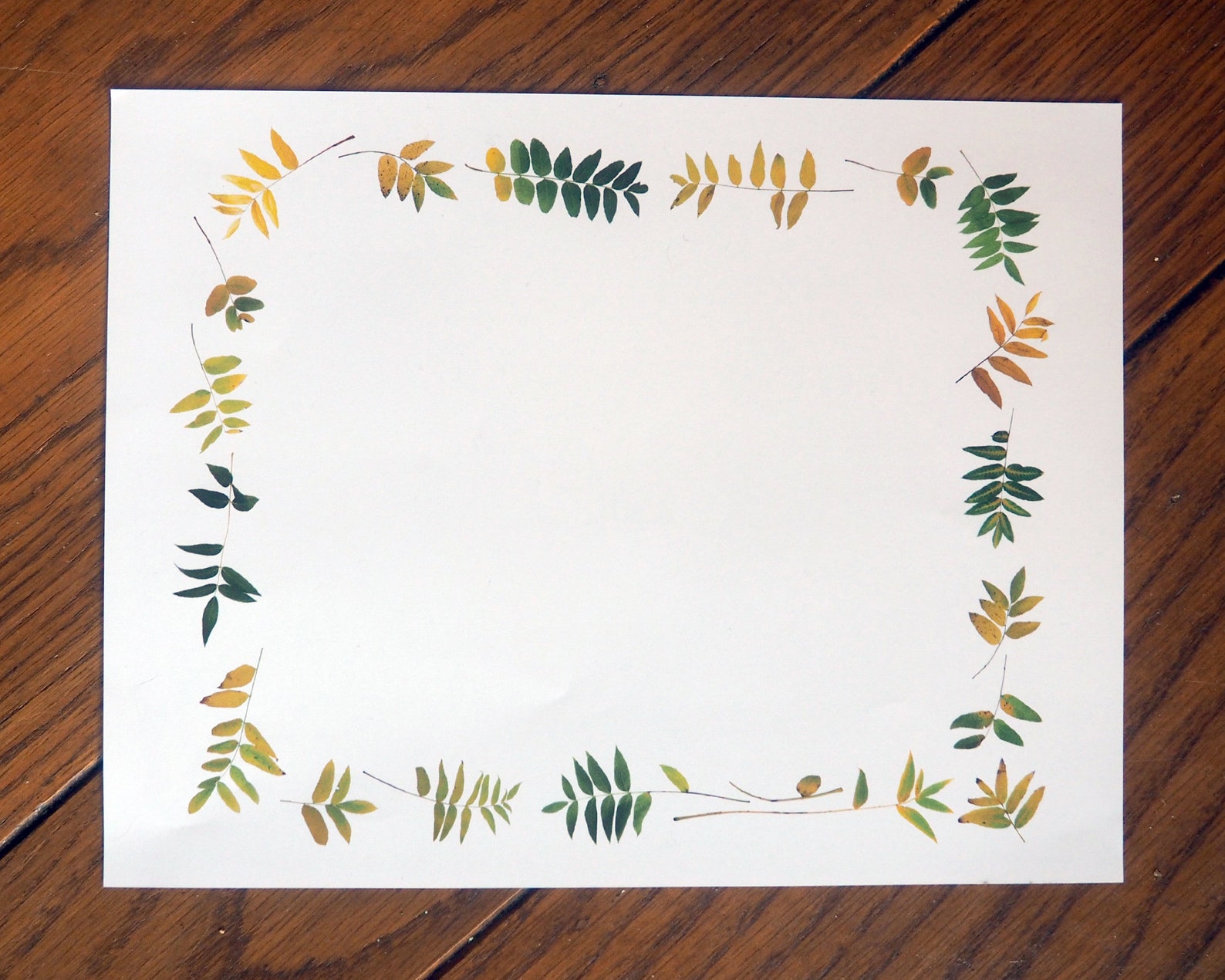 Black Walnut Printable Border Fall Leaves Digital Border - Etsy