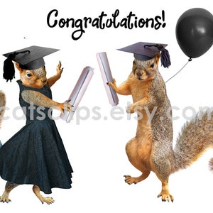Grad Squirrels Printable Graduation Card Digital Squirrel - Etsy