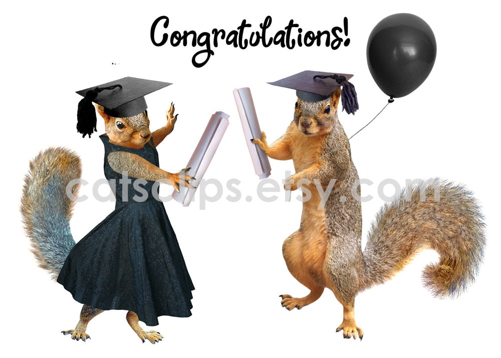 Grad Squirrels Printable Graduation Card Digital Squirrel | Etsy