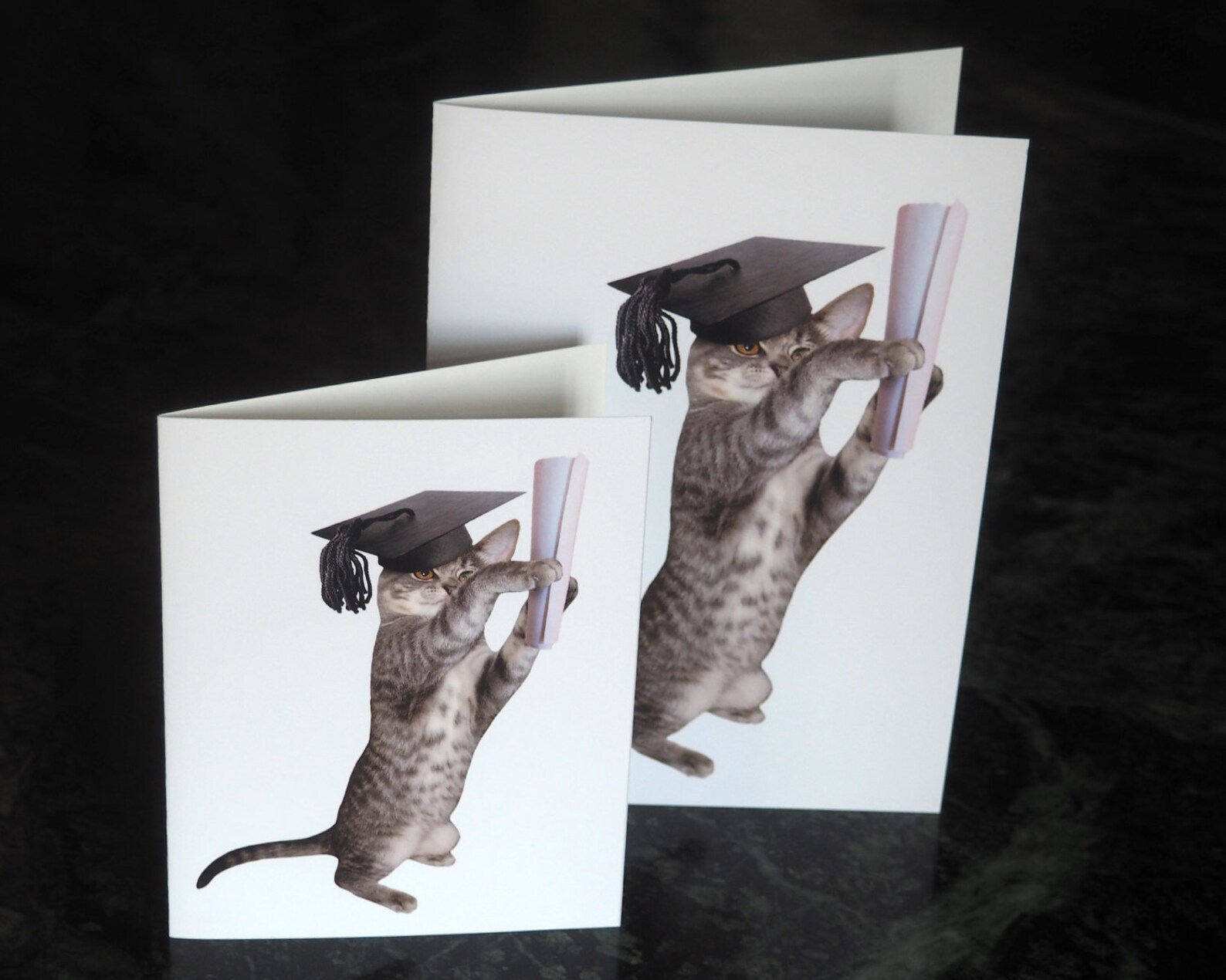 Printable Cat Graduation Card Kitten With Diploma Printable - Etsy
