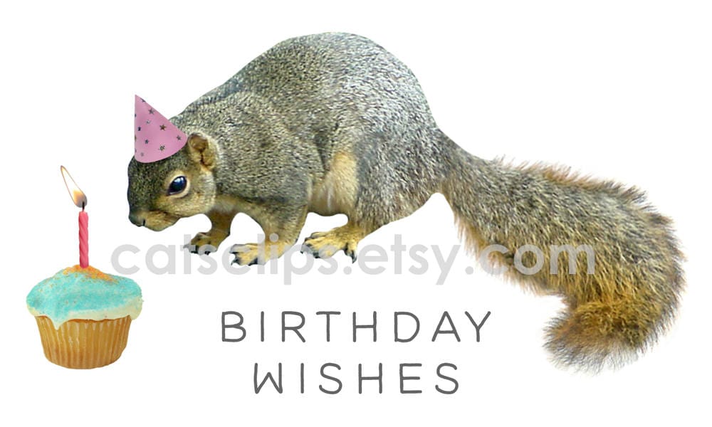 Squirrel With Cupcake Printable Birthday Card Birthday Wishes | Etsy