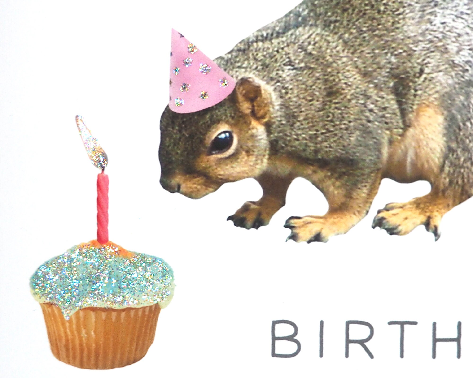 Squirrel with Cupcake Birthday Wishes Card Glitter Birthday | Etsy