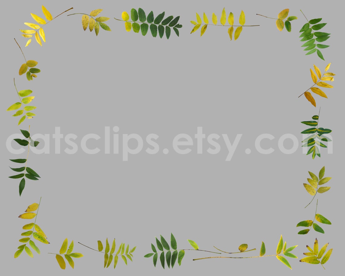 Black Walnut Printable Border Fall Leaves Digital Border - Etsy