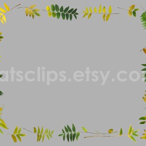 Black Walnut Printable Border, Fall Leaves Digital Border - Etsy