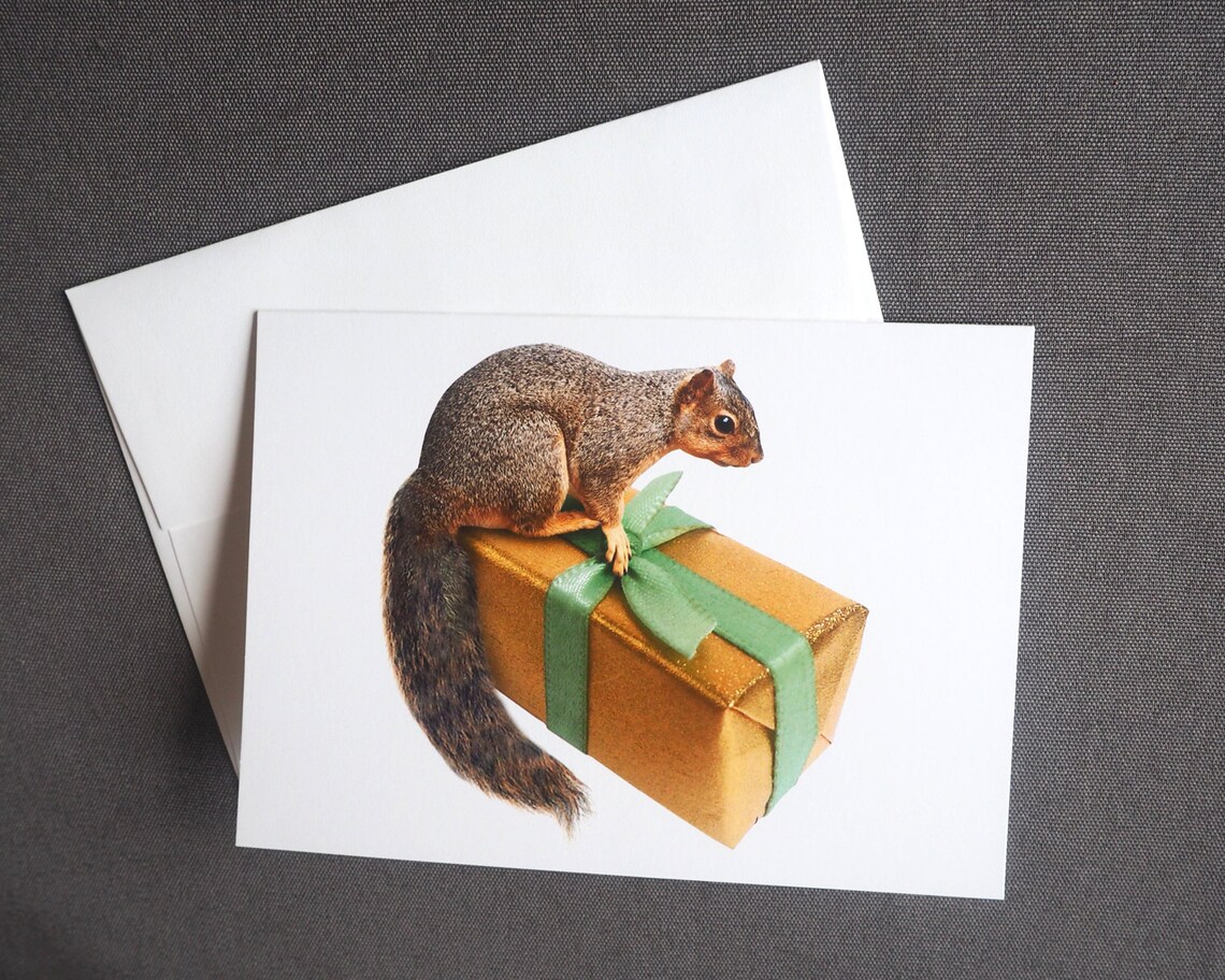 Squirrel Gold Present Birthday Card - Etsy