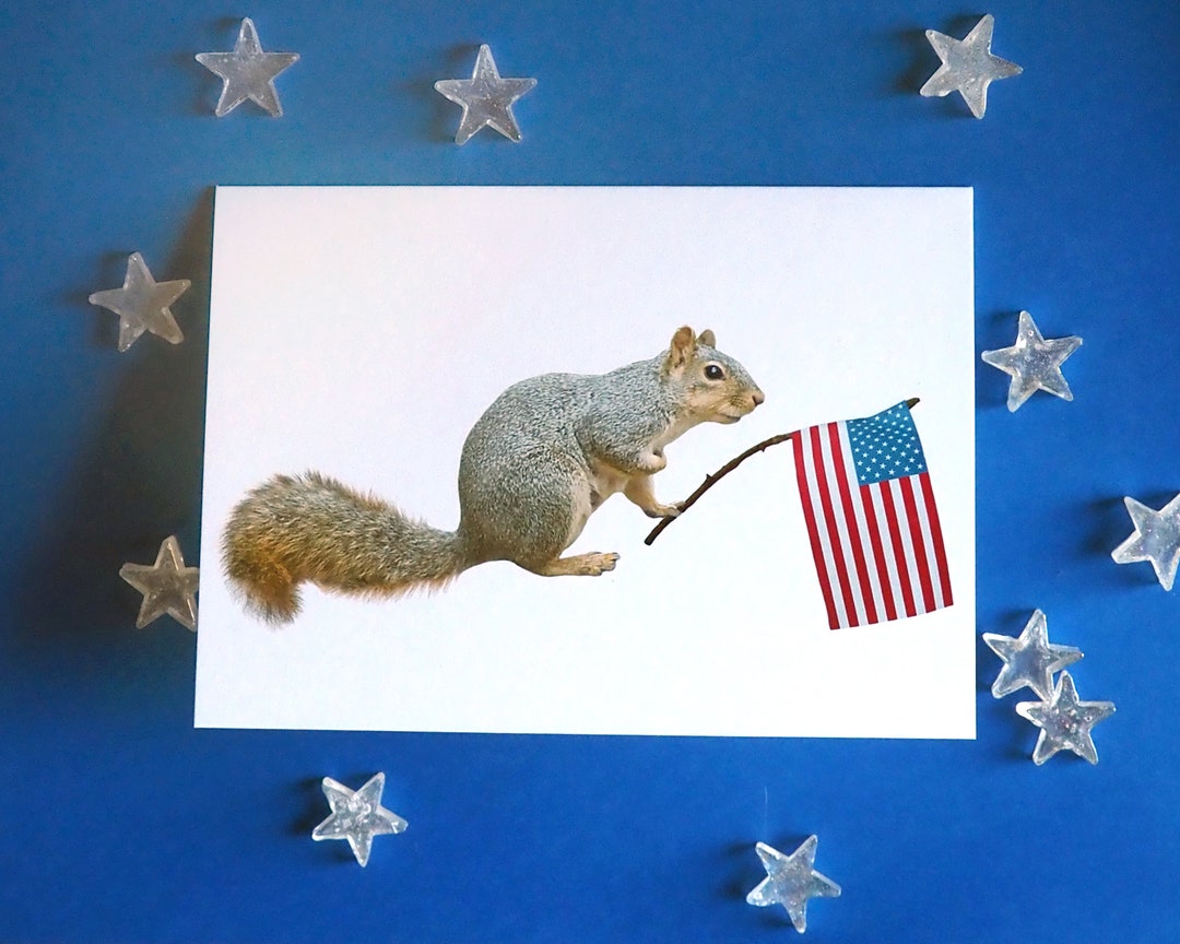 Squirrel With American Flag Card - Etsy