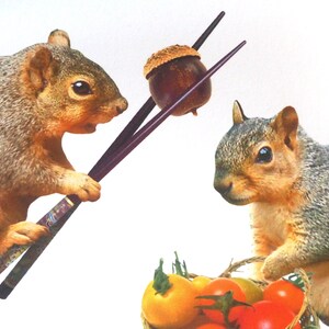 Squirrels Happy Thanksgiving Card - Etsy