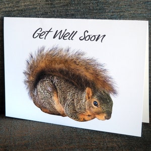 Printable Squirrel Get Well Card (PDF) - Etsy