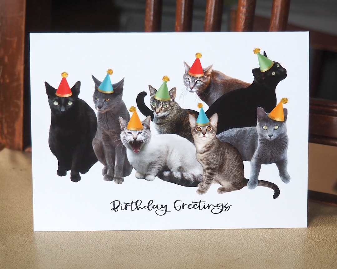 Cats in Party Hats Birthday Card - Etsy