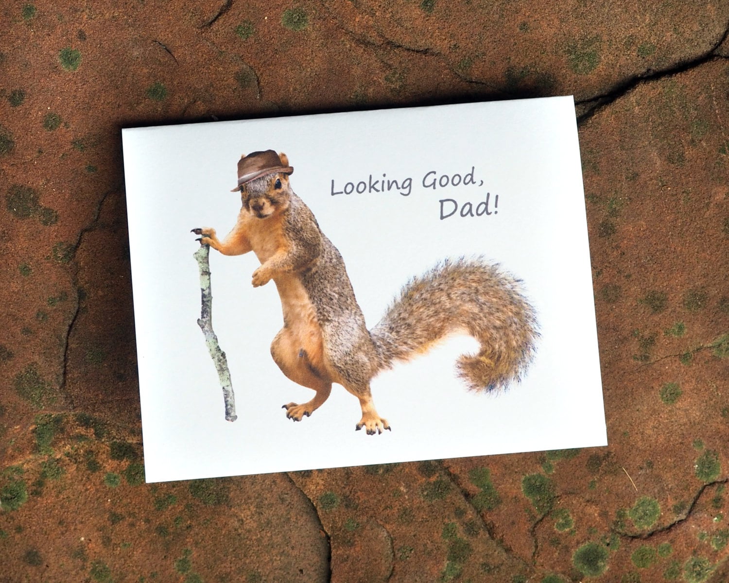 Squirrel Printable Father's Day Card - Etsy Australia