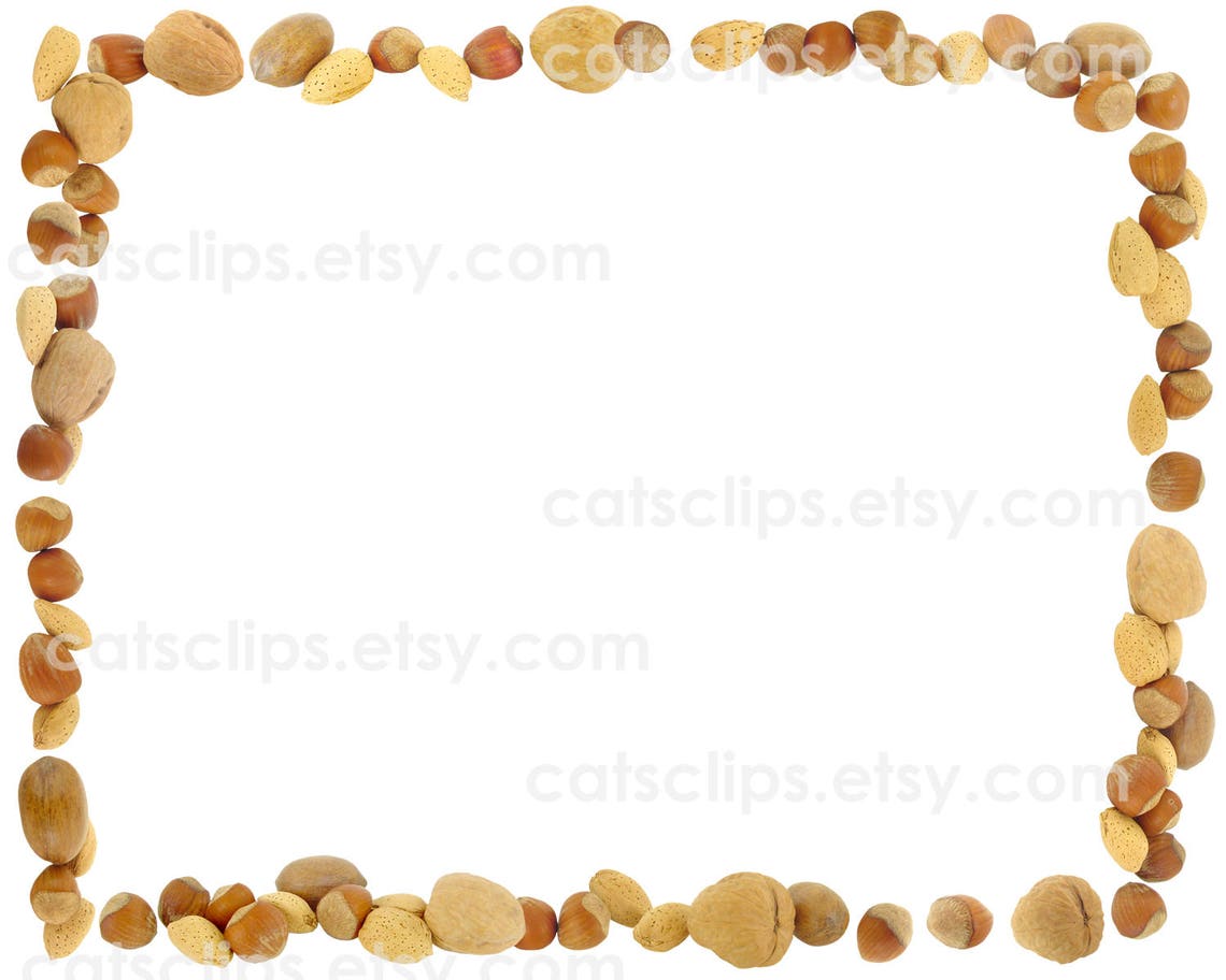 Nuts Digital Border Printable Nut BorderFall Harvest Nut - Etsy France