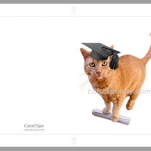 Orange Cat Grad Printable Graduation Card - Etsy