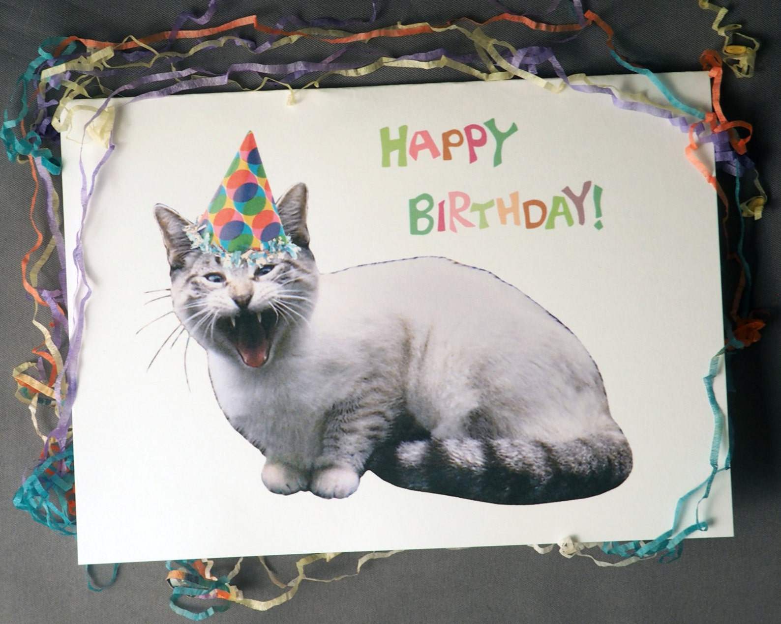 Meowing Cat Printable Birthday Card | Etsy