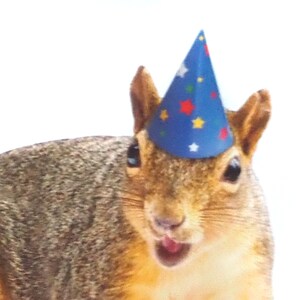 Happy Birthday Squirrel Card - Etsy