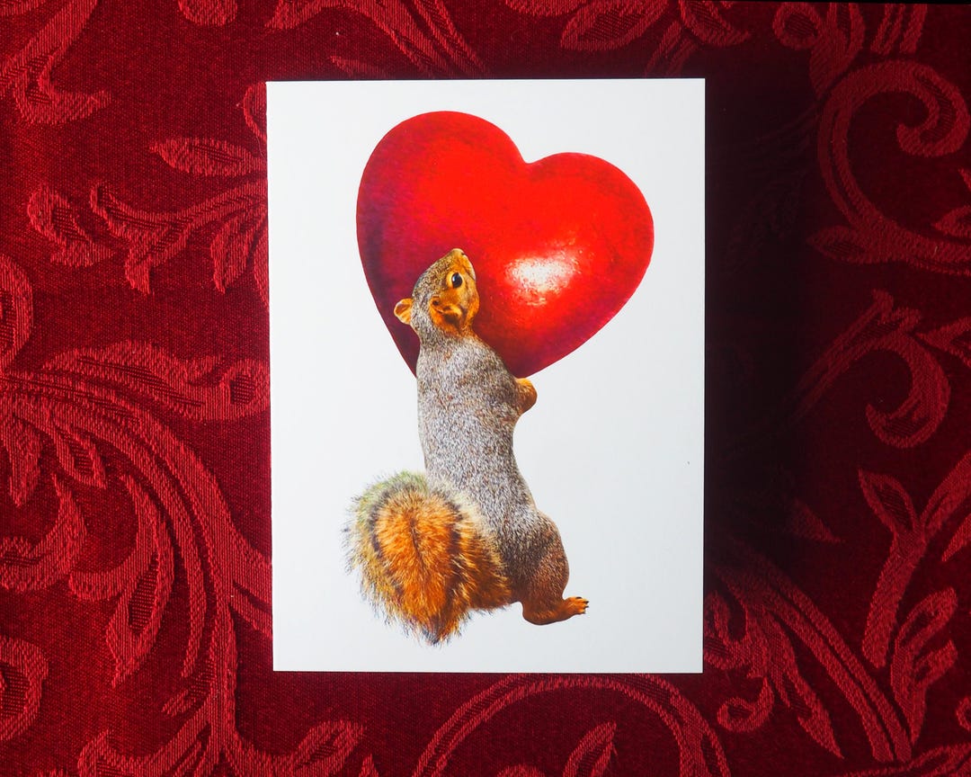 Squirrel Carrying Big Red Heart Valentine 's Day Card - Etsy