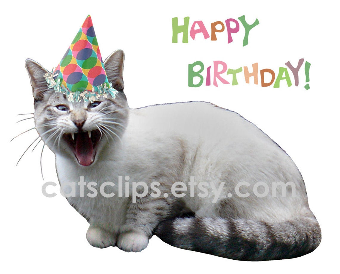 Meowing Cat Printable Birthday Card | Etsy