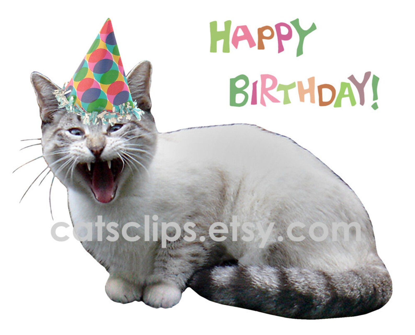 Meowing Cat Printable Birthday Card | Etsy