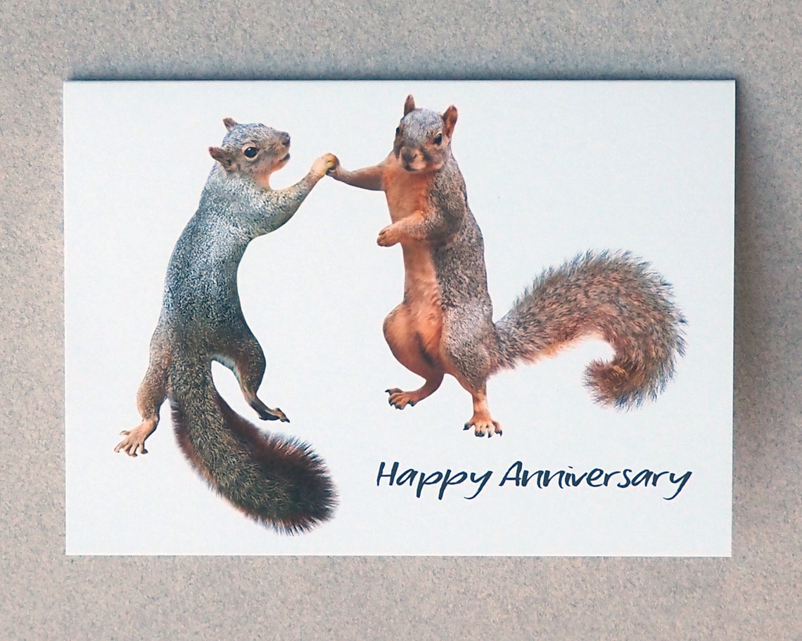 Squirrels Happy Anniversary Card - Etsy