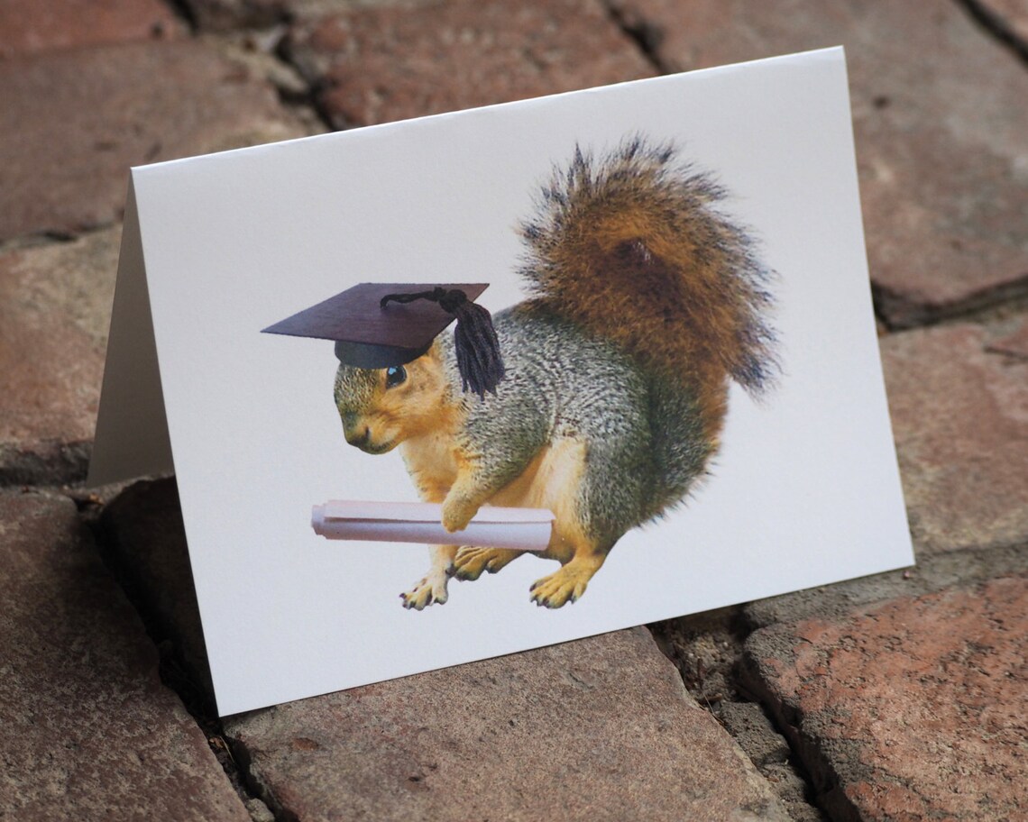 Squirrel Grad Printable Graduation Card | Etsy