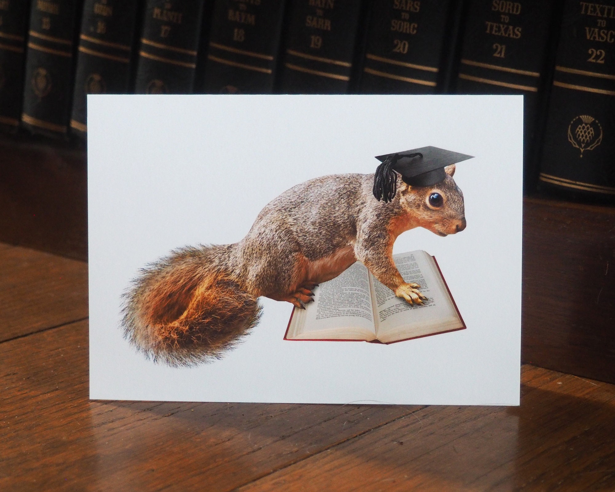 Smart Squirrel