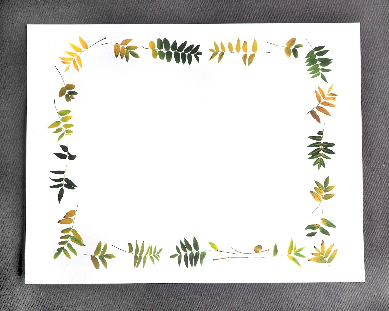 Black Walnut Printable Border Fall Leaves Digital Border - Etsy