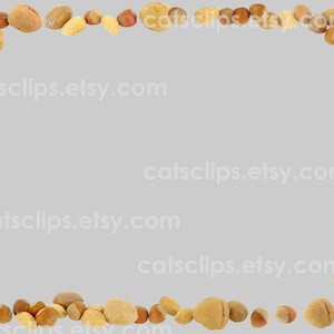 Nuts Digital Border, Printable Nut Border,fall Harvest Nut Border - Etsy