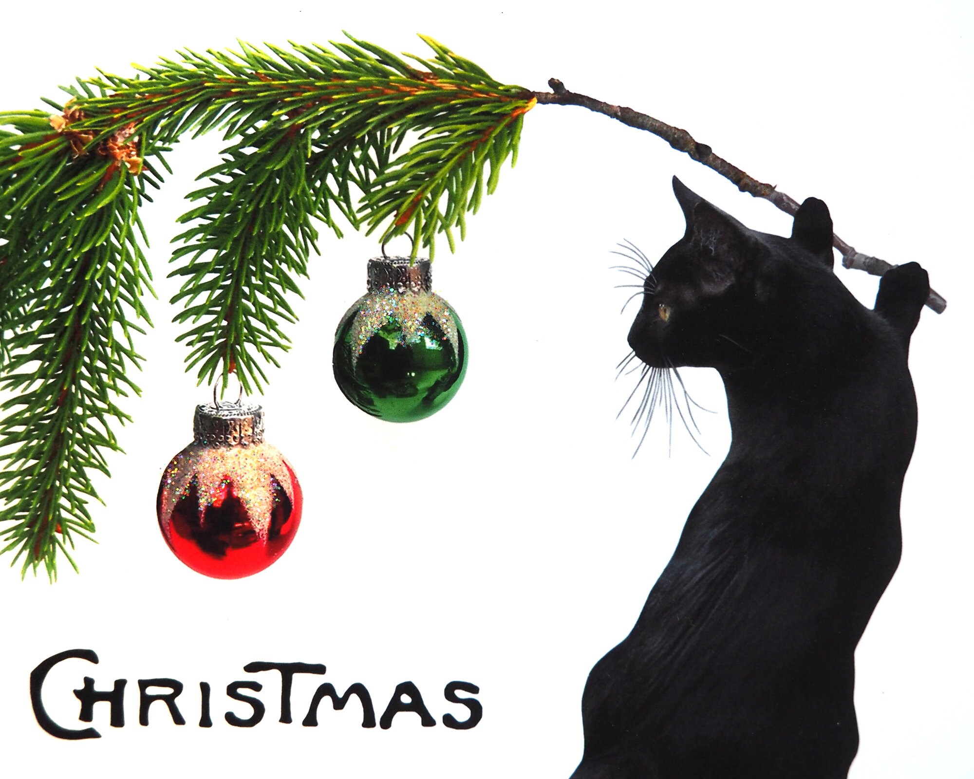 Christmas Cat Facebook Cover