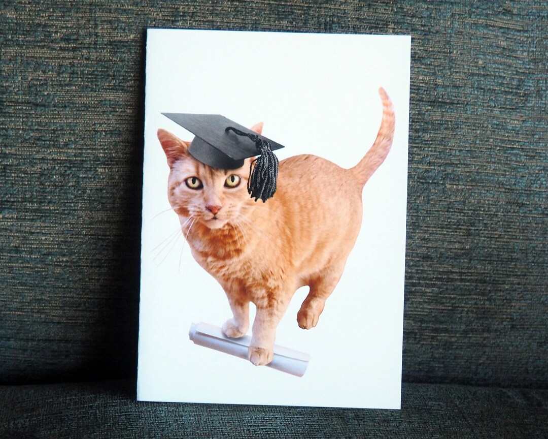 Orange Cat Grad Printable Graduation Card - Etsy