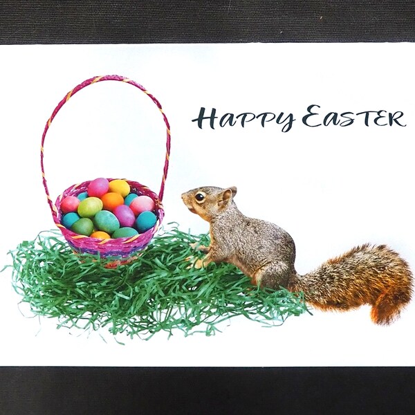 Baby Squirrel - Etsy