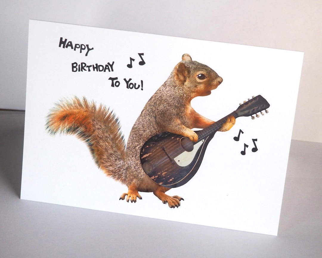 Squirrel Playing Mandolin Birthday Card - Etsy