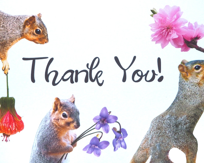 Squirrels with Flowers Thank You Card | Etsy