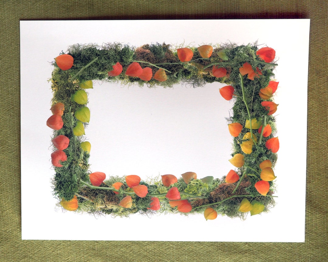 Lichen Chinese Lantern Digital Border, Printable Fall Border - Etsy
