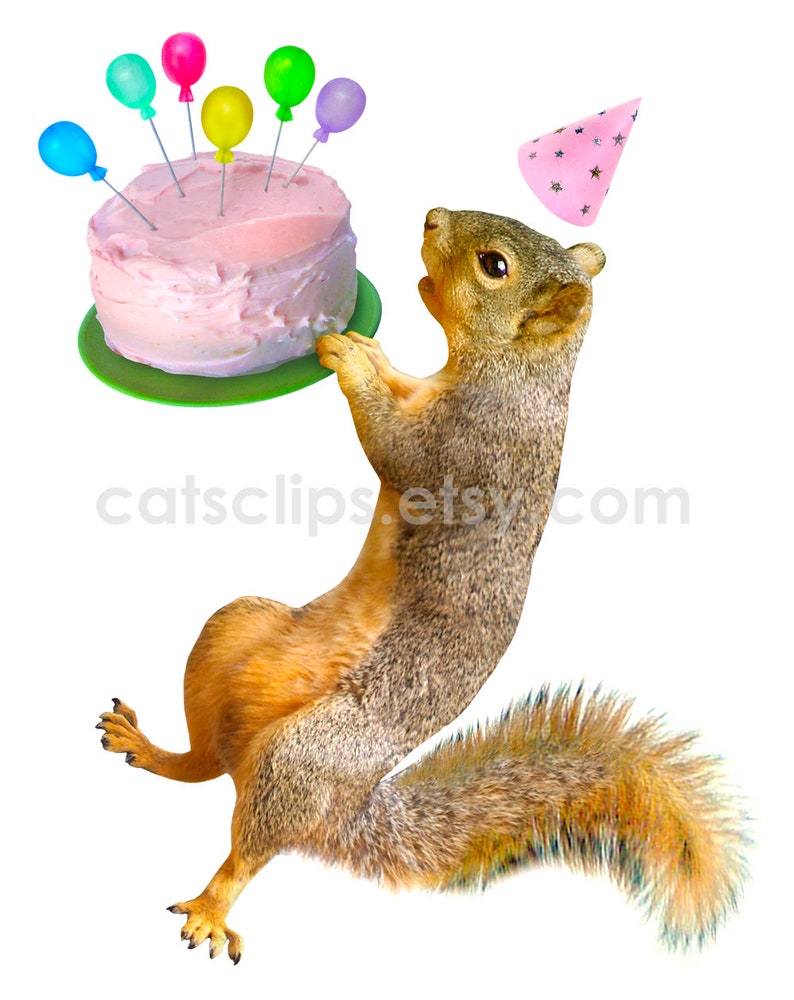 Squirrel With Balloon Cake Printable Birthday Card Digital - Etsy