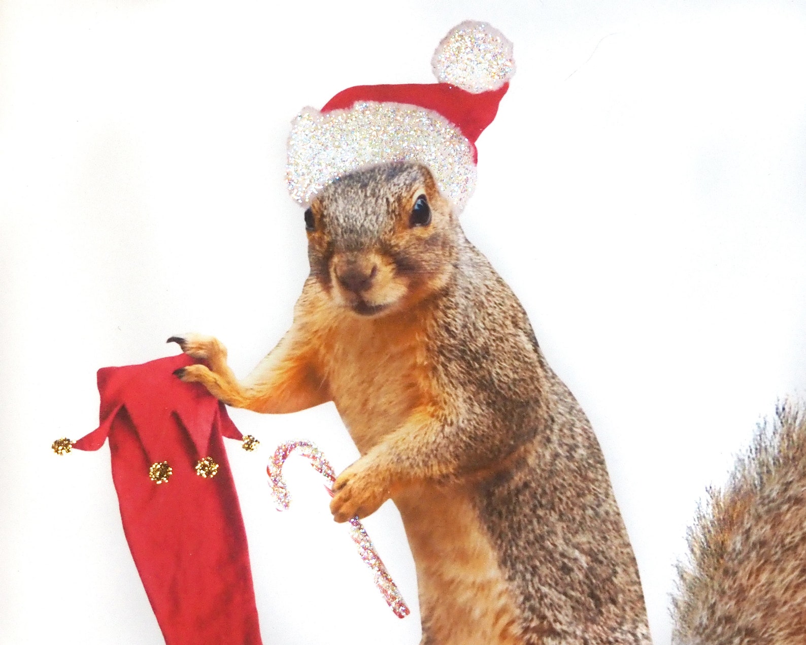 Standing Squirrel With Stocking Glitter Christmas Card - Etsy