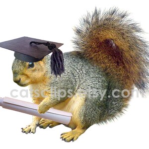 Squirrel Grad Printable Graduation Card - Etsy