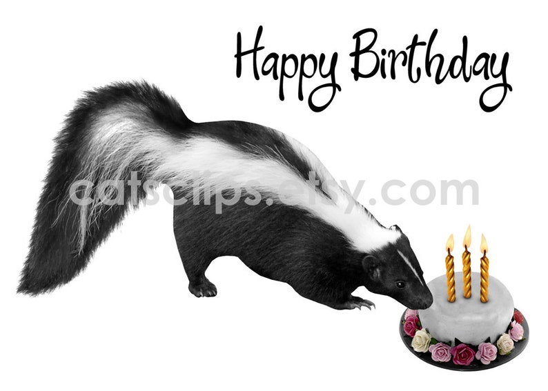 Skunk with Birthday Cake Printable Birthday Card Digital | Etsy