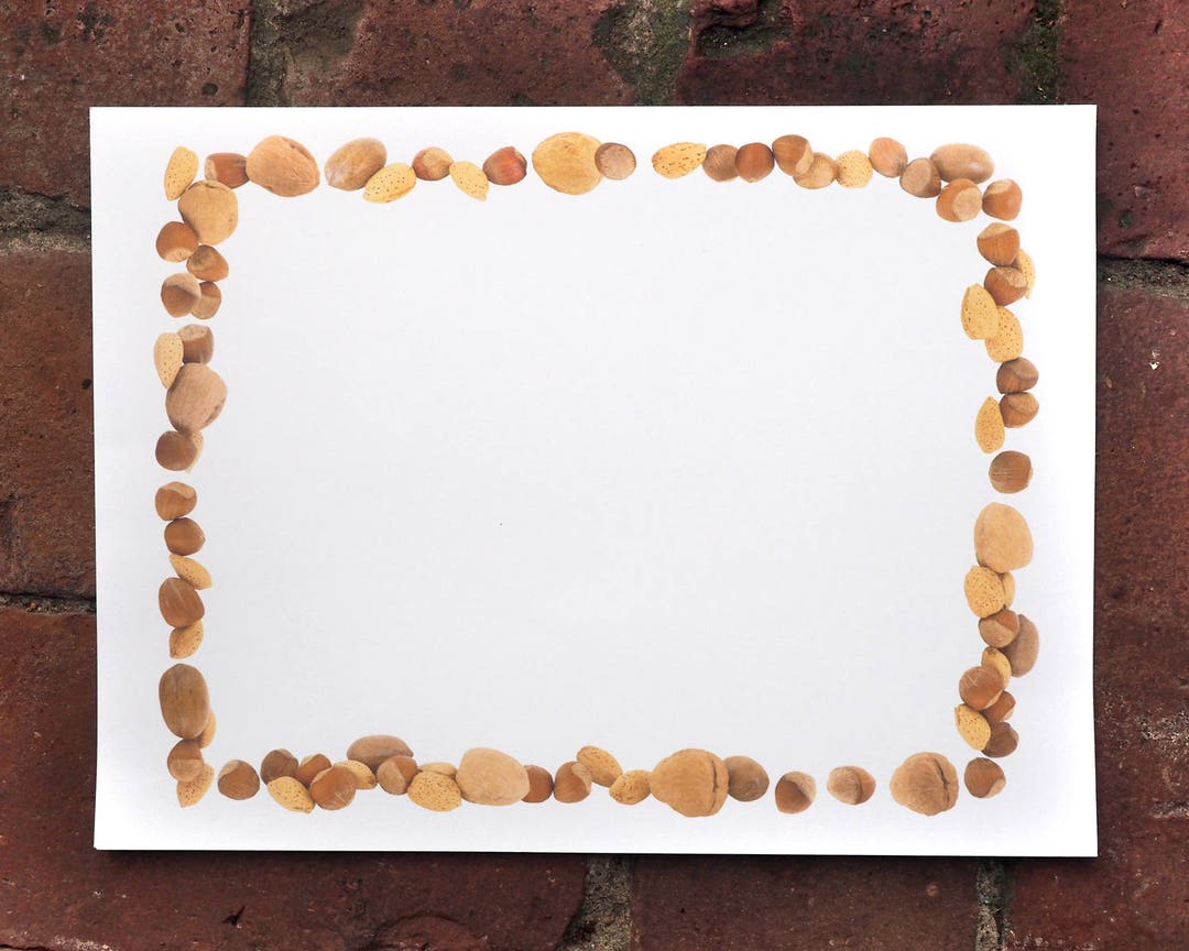 Nuts Digital Border, Printable Nut Border,fall Harvest Nut Border - Etsy