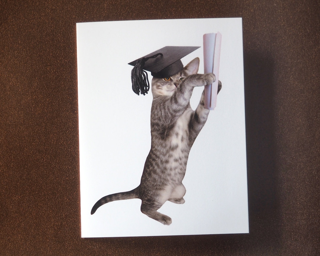 Printable Cat Graduation Card, Kitten With Diploma Printable Graduation ...