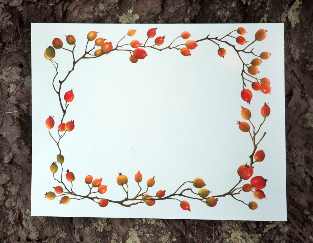 Rose Hips Digital Border, Printable Border - Etsy