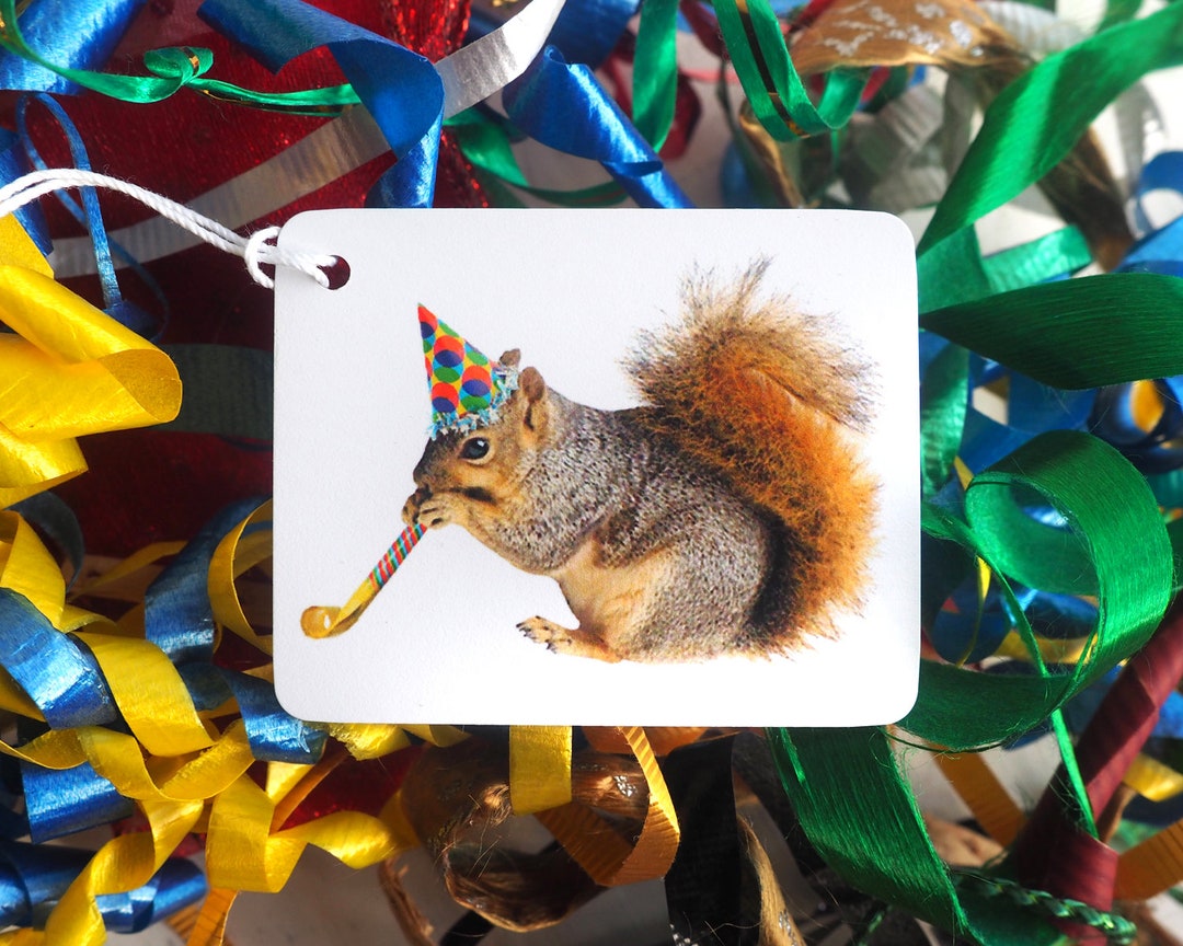 10 Party Squirrel Gift Tags - Etsy