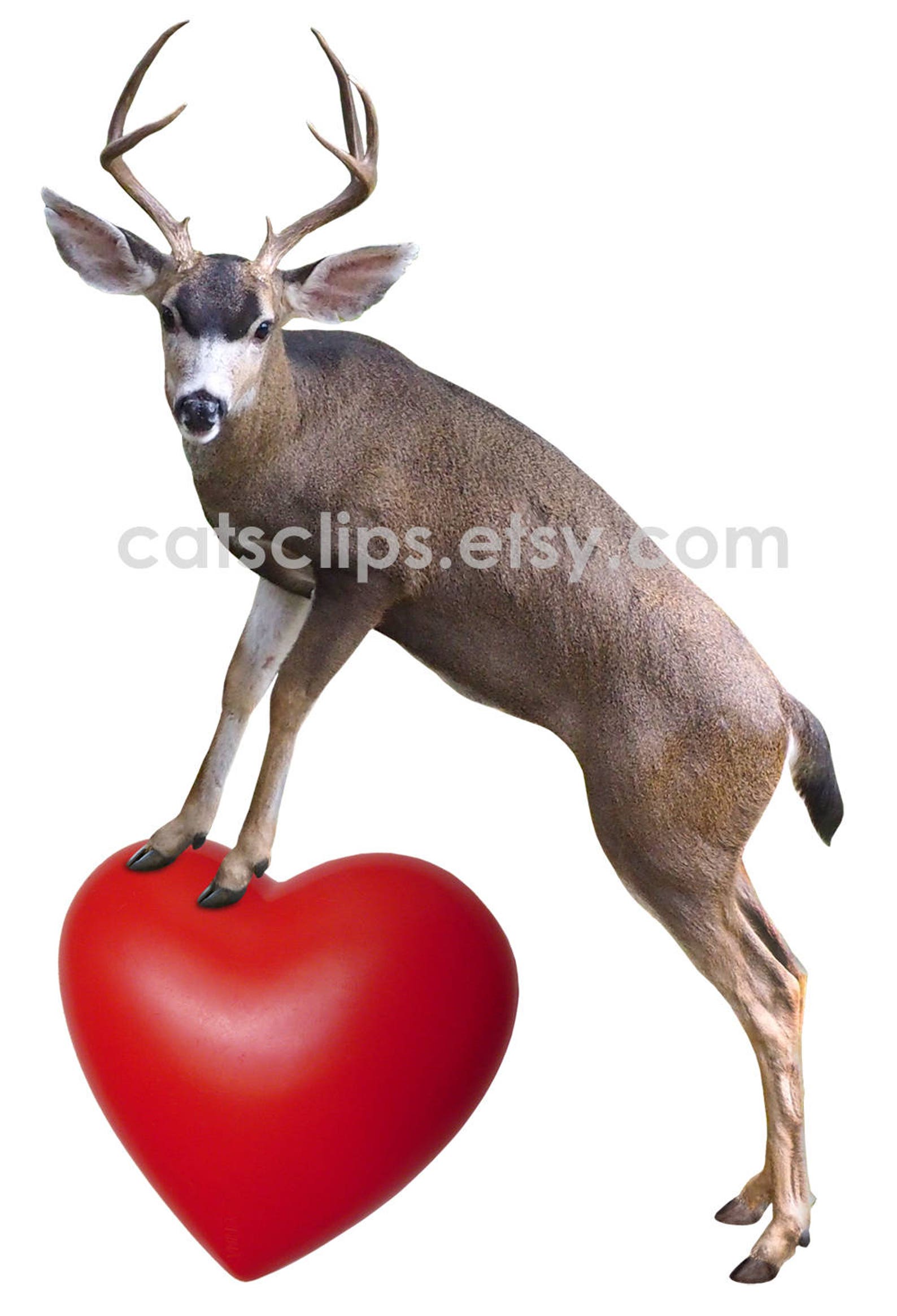 Deer Heart Printable Valentines Card Stag Love Digital - Etsy